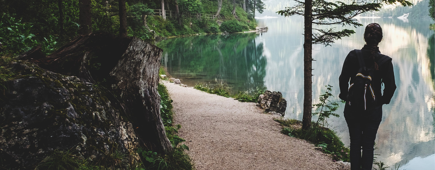 Why give to WILD? - WILD Foundation