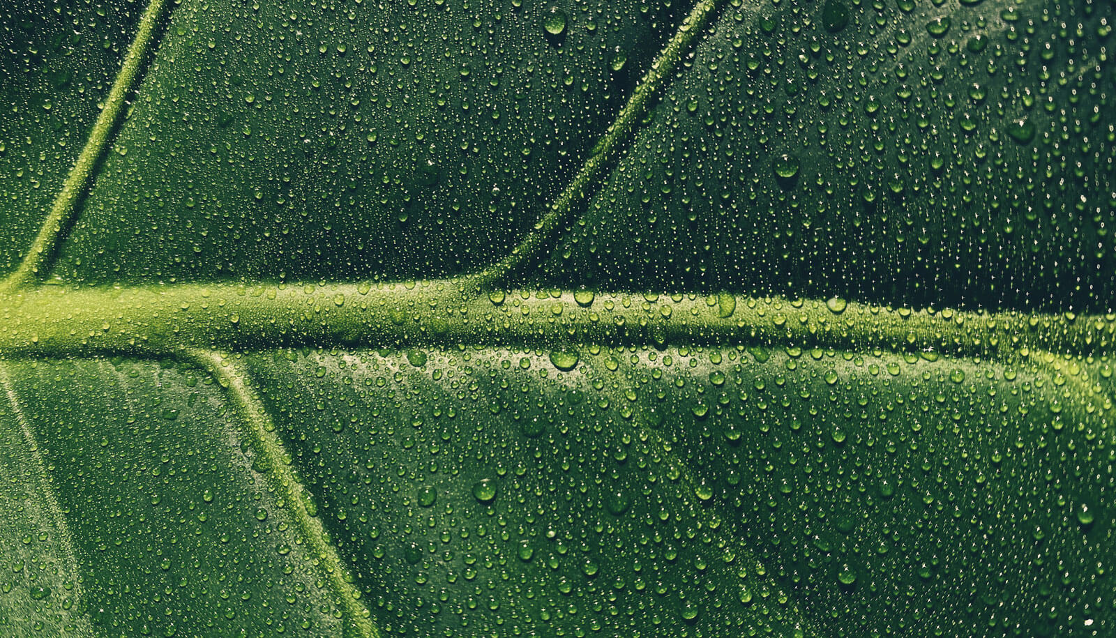 Success for Nature Begins with Support for Supporting Ecological ...