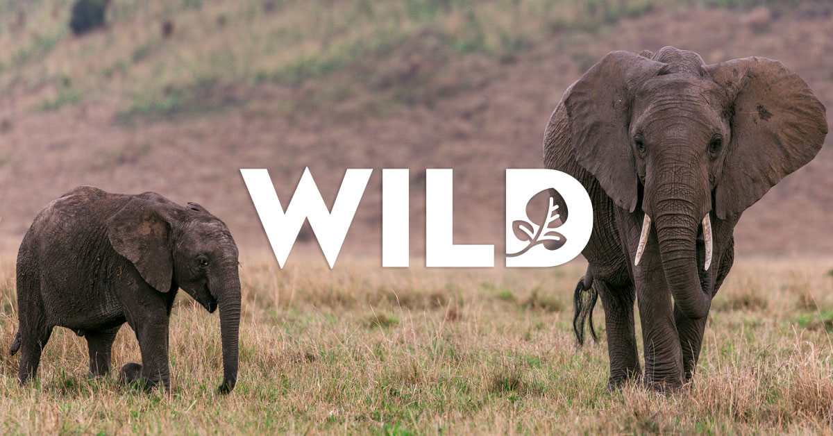 Donate - WILD Foundation