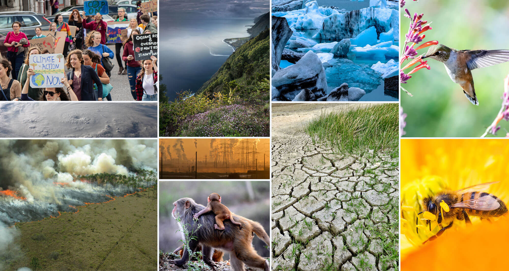 Climate - Fight Climate Change & Save Biodiversity