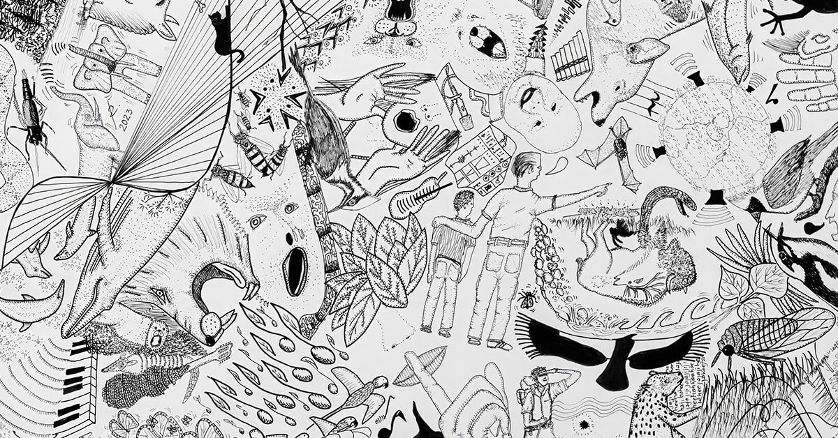 WILD Foundation - Wilderness Conservation & Protection