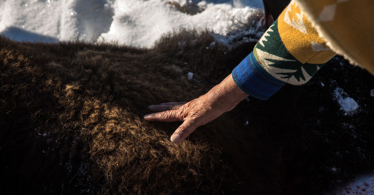 Indigenous-led Conservation, a Holistic Approach – Q&A with Jordan ...