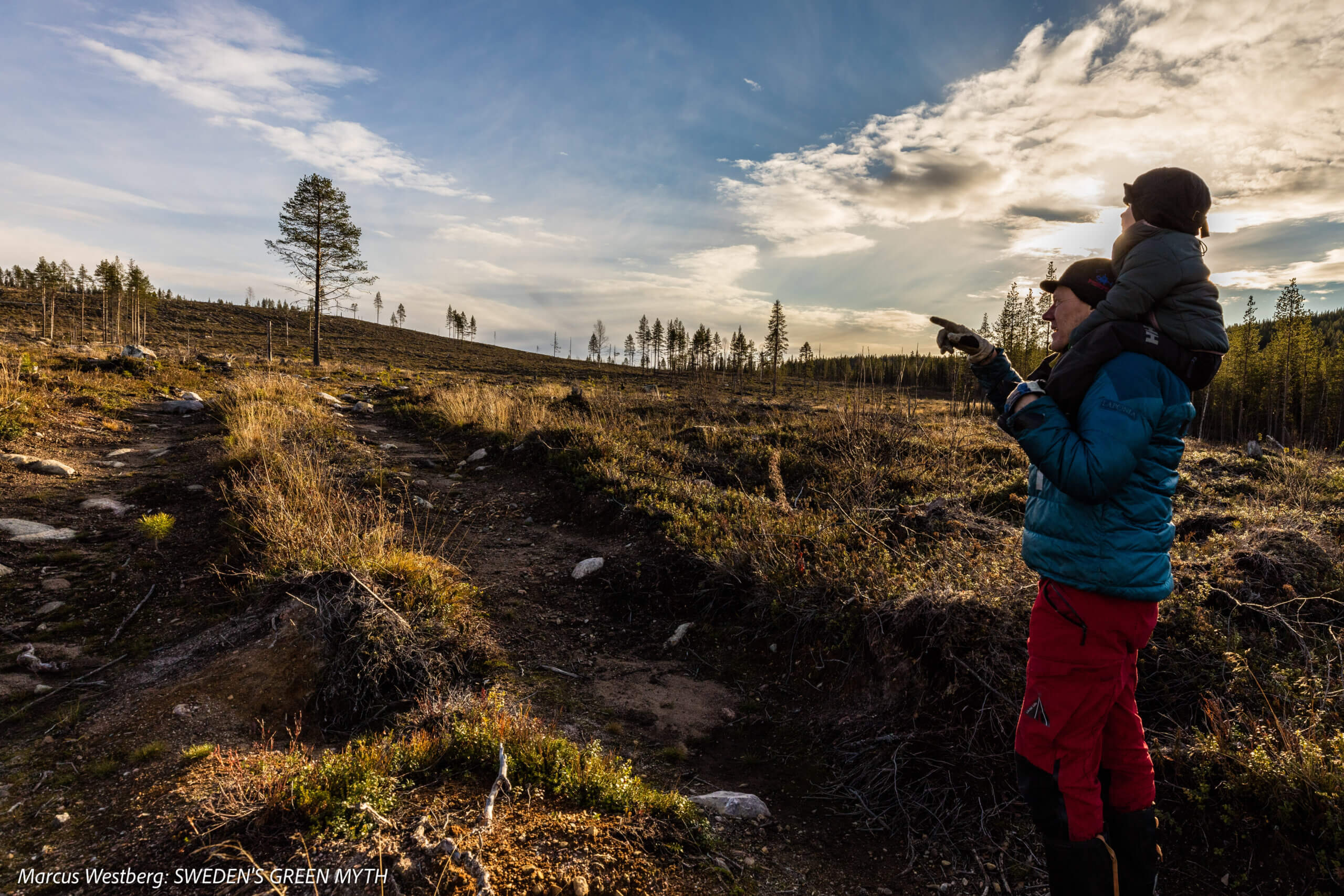 WILD Foundation - Wilderness Conservation & Protection